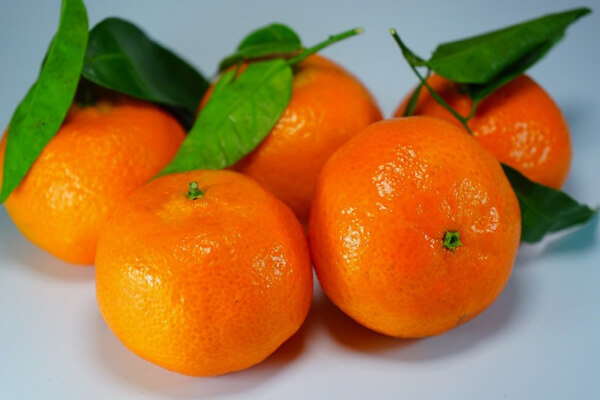 10 Foods That Get Sweeter When It's Cold: From Tangerines to Mussels