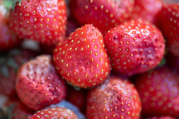 Top 10 Secrets Behind Winter Strawberries and How to Enjoy Them Best