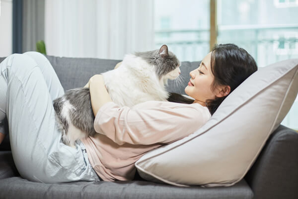 Understanding Your Cat: 10 Unusual Behaviors and What They Mean