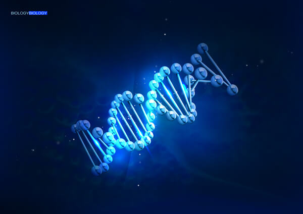 10 Surprising Truths and Myths About Dimples You Need to Know