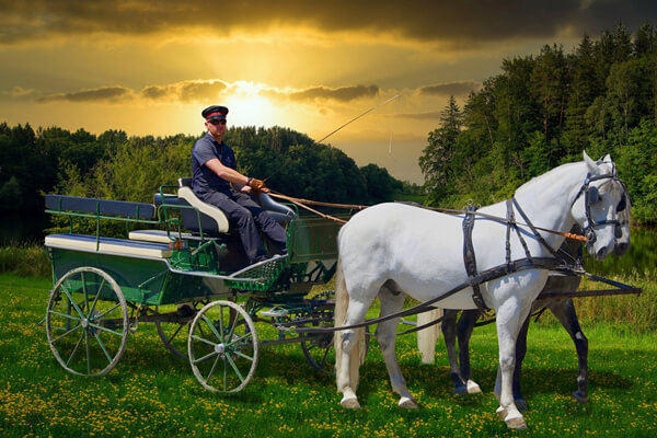 Personality Profiling Goes Viral: Inside the MBTI Craze