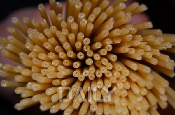 데일리 - 이름도 형태도 다양한 파스타 종류 푸드 파스타,파스타종류,스파게티,스파게티종류,링귀네,파르펠레,푸실리,라자냐,리가토니,펜네