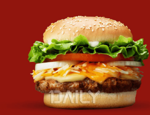데일리 - '의외로' 살 안 쪄서 다이어트 할 때 먹어도 되는 햄버거 푸드 다이어트용햄버거,다이어트햄버거,햄버거칼로리,칼로리낮은 ...