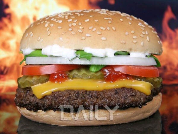 데일리 - 햄버거가 몸에 정말 안좋을까? 푸드 햄버거,햄버거종류,햄버거역사,햄버거어원,햄버거원조,버거,패스트푸드,햄버거프랜차이즈 ...