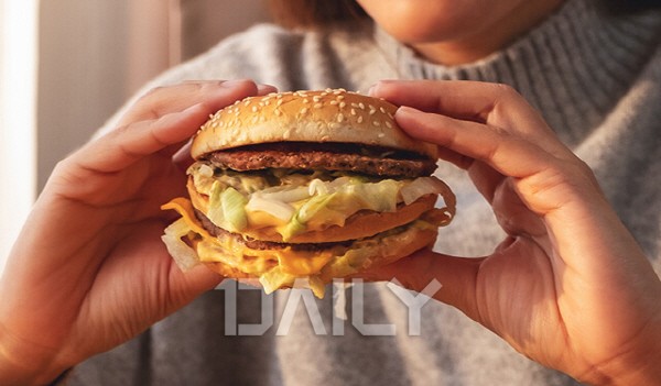 데일리 - 지금 아니면 다 팔려서 못 먹는 '리미티드' 햄버거 푸드 신상햄버거,신상,햄버거,햄버거신메뉴,프랜차이즈버거,KFC ...