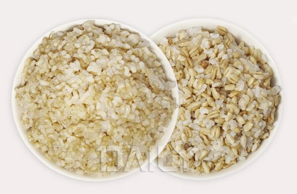 데일리 - 배부르게 먹어도 살 안찌는 신기한 밥 푸드 곤약밥,곤약밥종류,곤약,밥,곤약밥추천,곤약밥레시피,곤약밥칼로리,곤약밥 ...