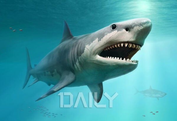 데일리 - 호빗이 실존한다고? 실제로 발견된 미스터리 생물 미스테리 미스터리생물,미스터리,생물,미스터리생물종류,미스터리생물생김새 ...